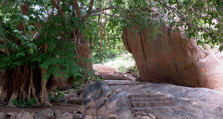 Samanar Hills / Samanar Malai near Madurai (Distance & Route) - Madurai ...